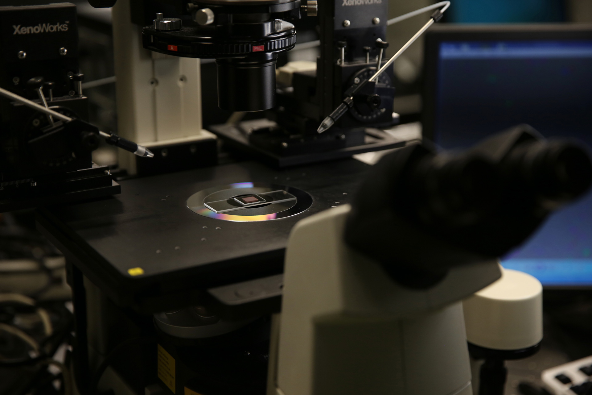 A New Tool to Predict Tumor Drug Resistance - Institute for Systems ...