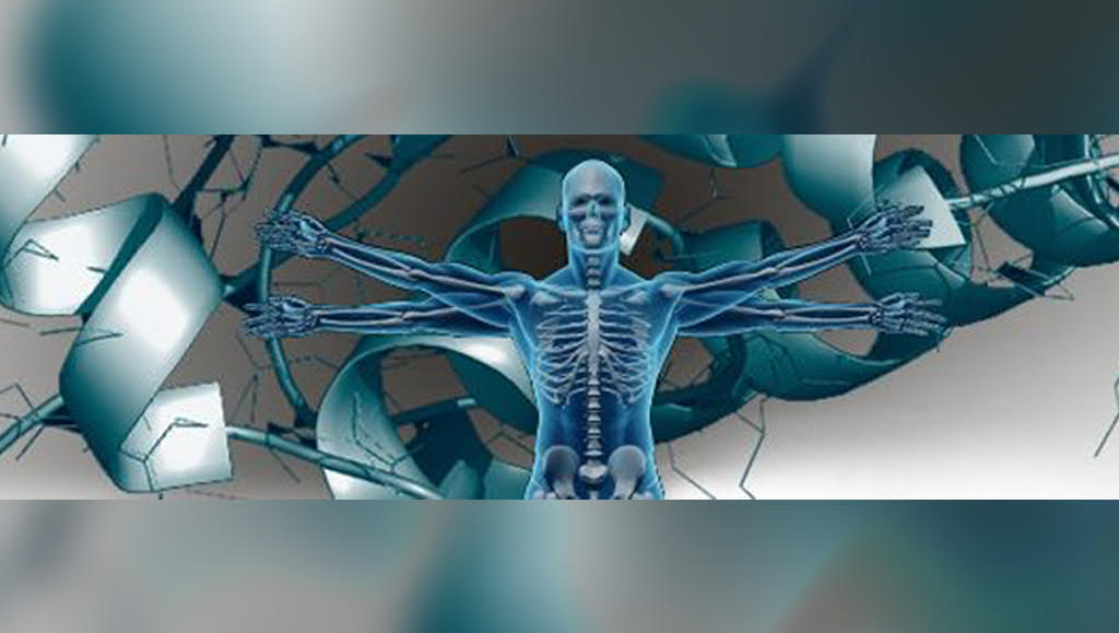 High‑Stringency Human Proteome Blueprint Released - Institute for ...